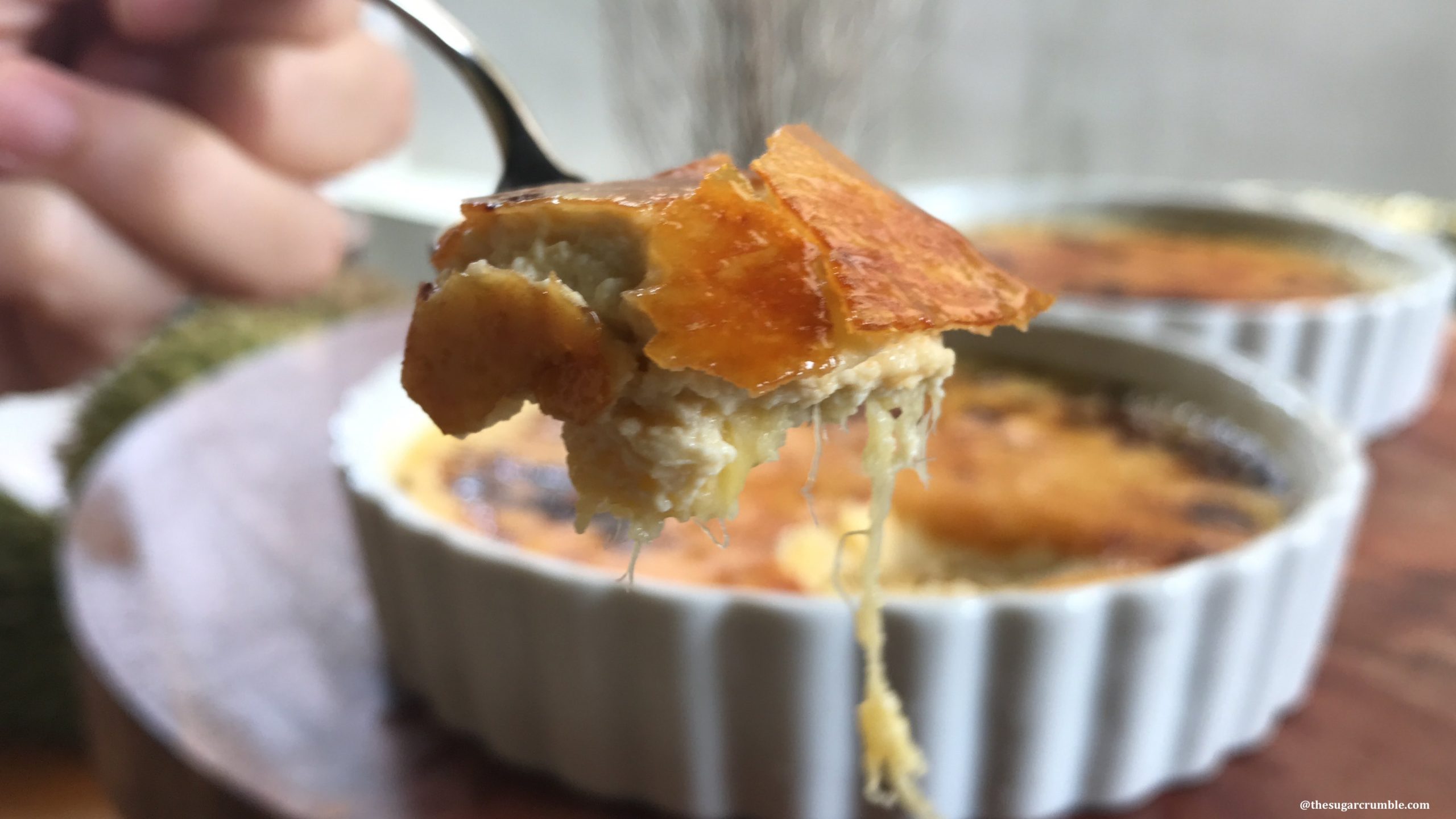 Durian Creme Brulee - thesugarcrumble: a family food blog adventure!